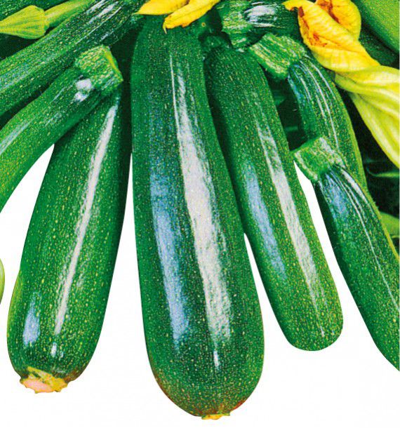 Blog 75: Recettes Italiennes-Courgettes, pignons et raisins secs