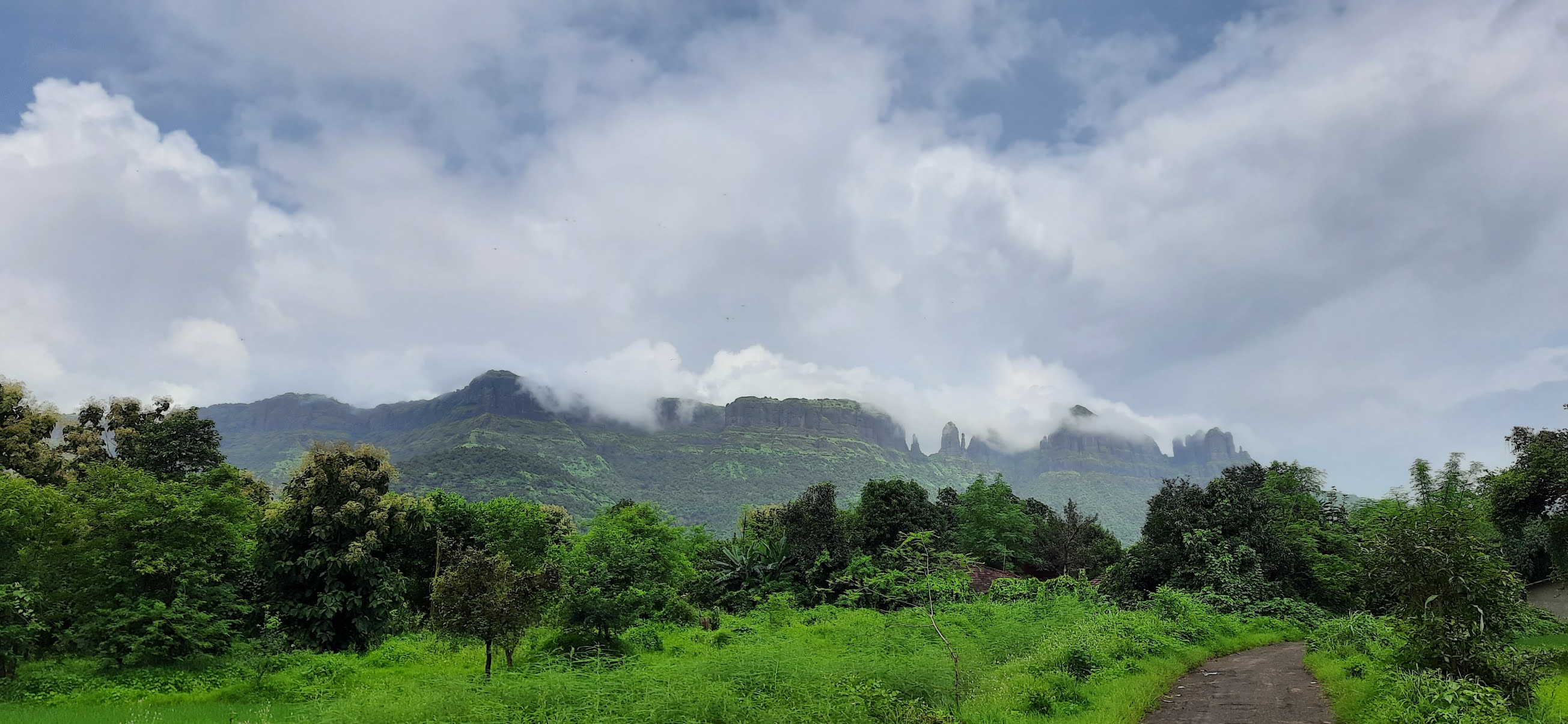 Sharad Pandhare's Educational Blog: Incredible Nature