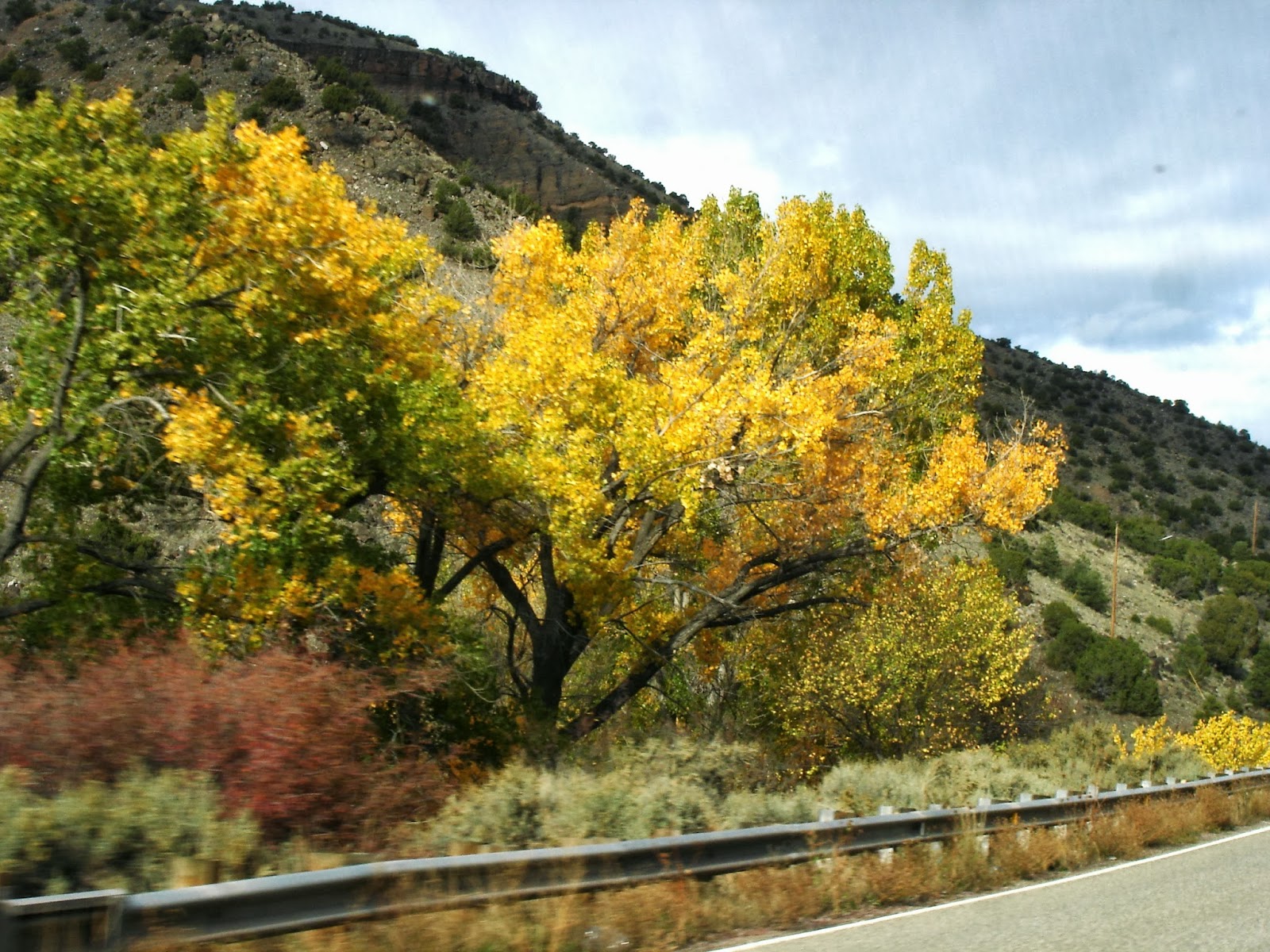 dee sanchez PAINTS! : Taos Colors