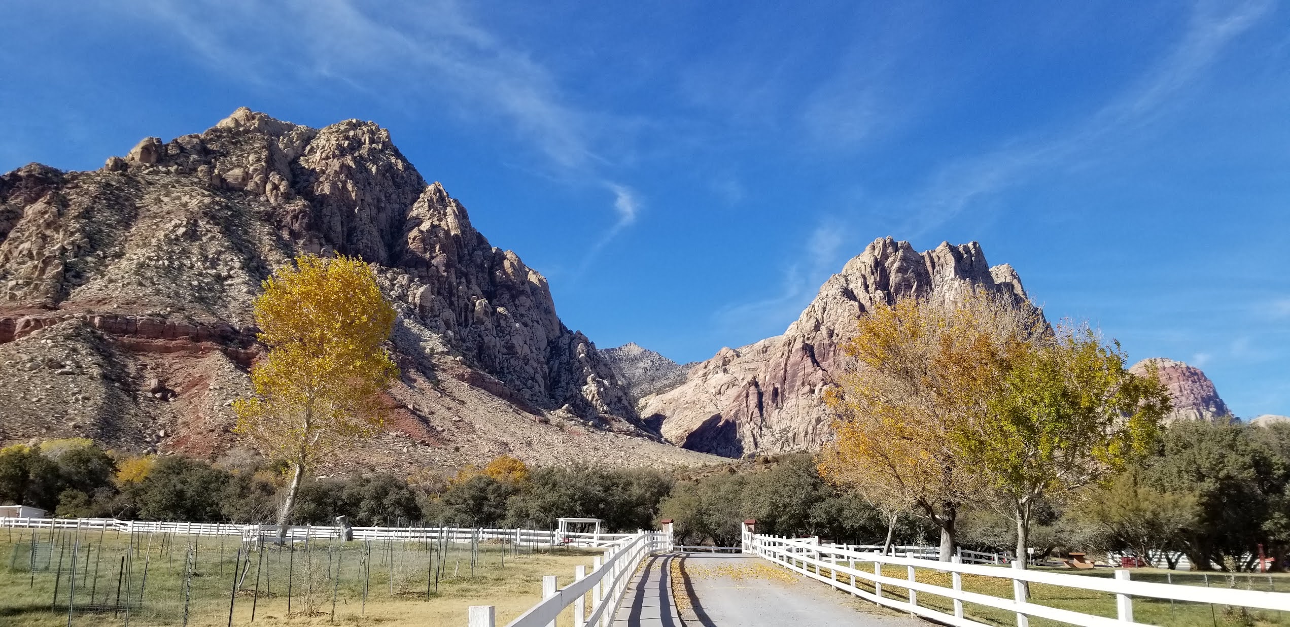 Cash Only Living: Merry Blogmas Day 7 Spring Mountain Ranch State Park