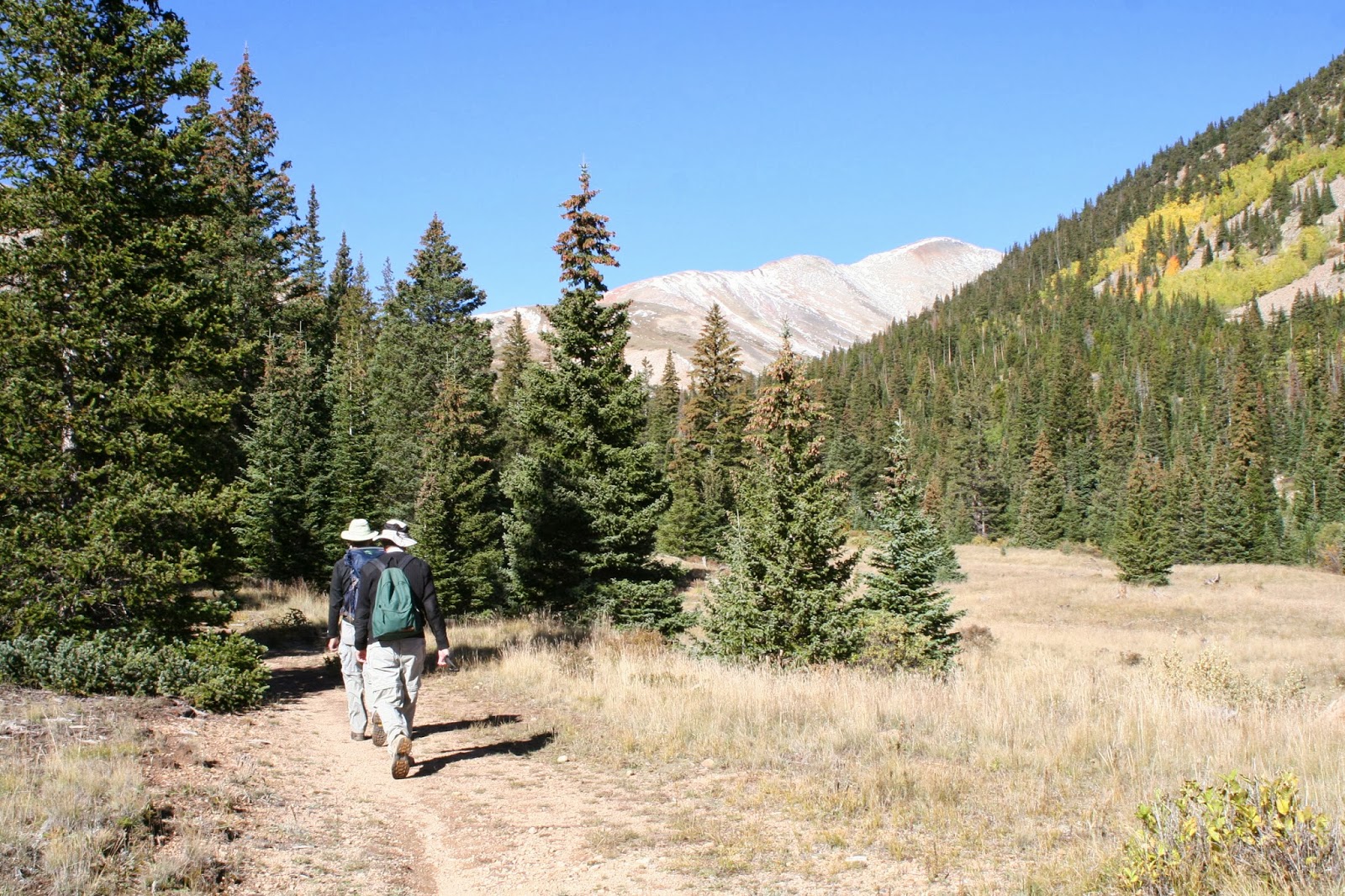 The Hiker: French Pass Hike