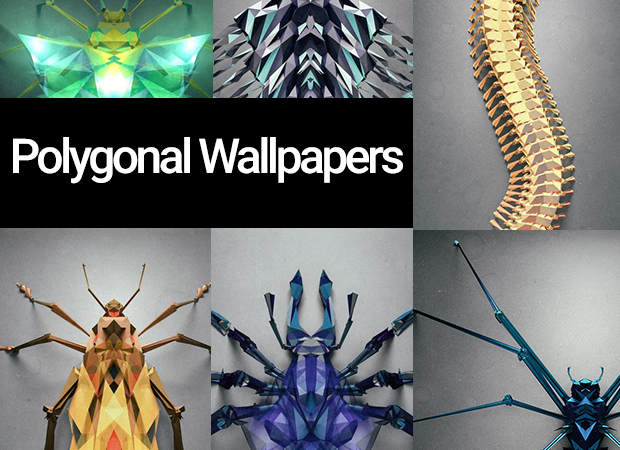 [Download] 23 Polygonal Insects Wallpapers For Your Smartphone | XDA Forums