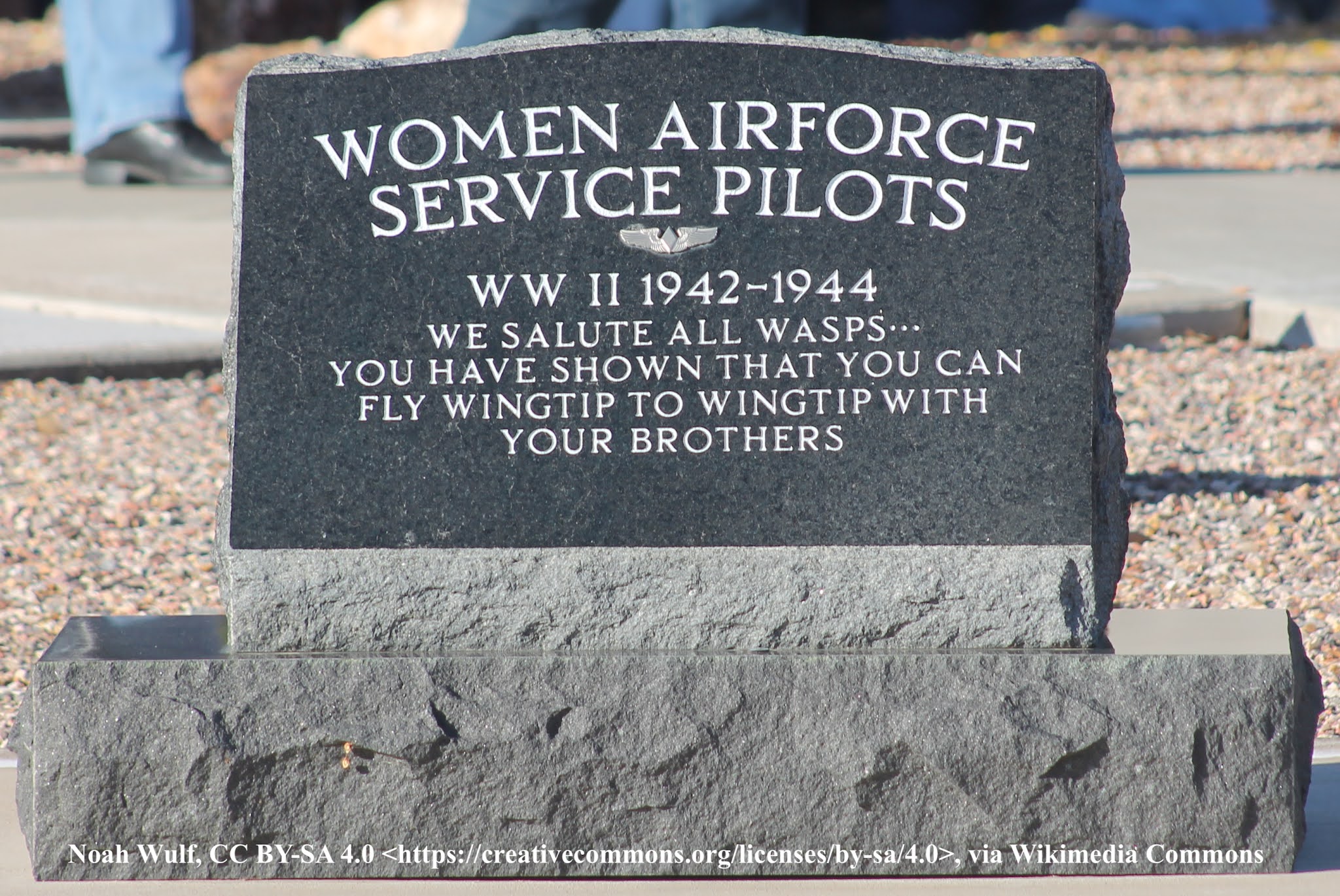 Heroes, Heroines, and History: WASP (Women Airforce Service Pilots)