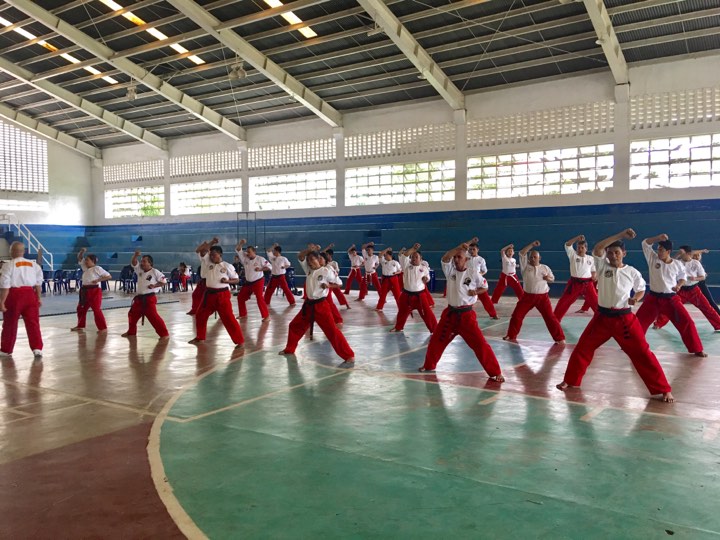 Filipino Martial Art Sikaran Makes Waves in the MMA Arena - Sugarsmile