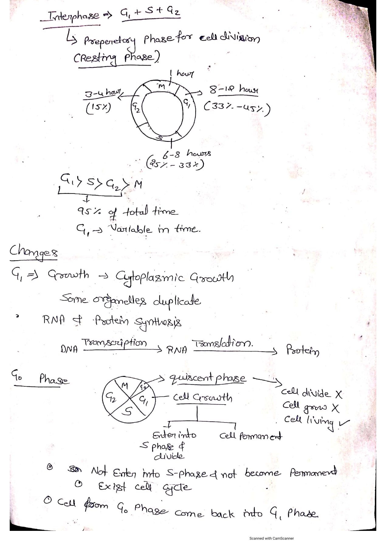 Cell cycle and cell division notes - Studypur