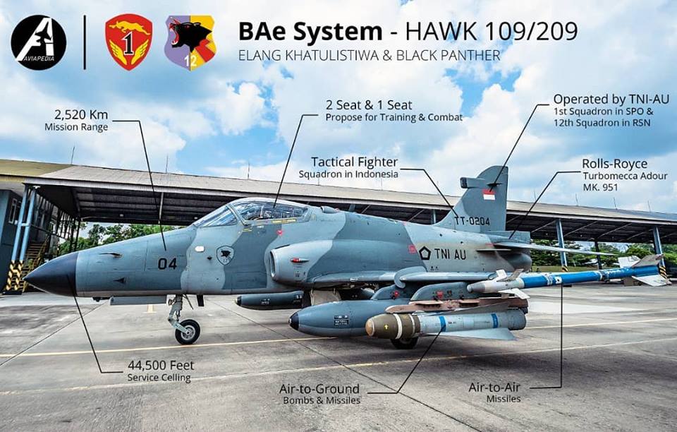 AIRPLANE SCALE MODELKIT: BAe Hawk-200