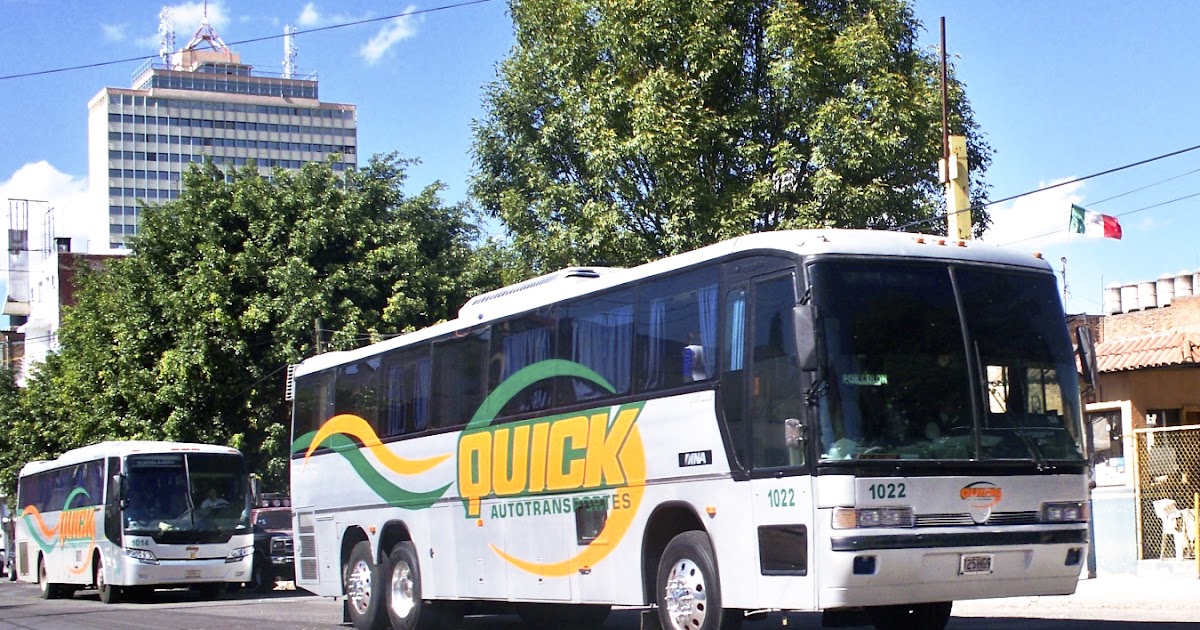 MAXIBUSES: QUICK AUTOTRANSPORTES