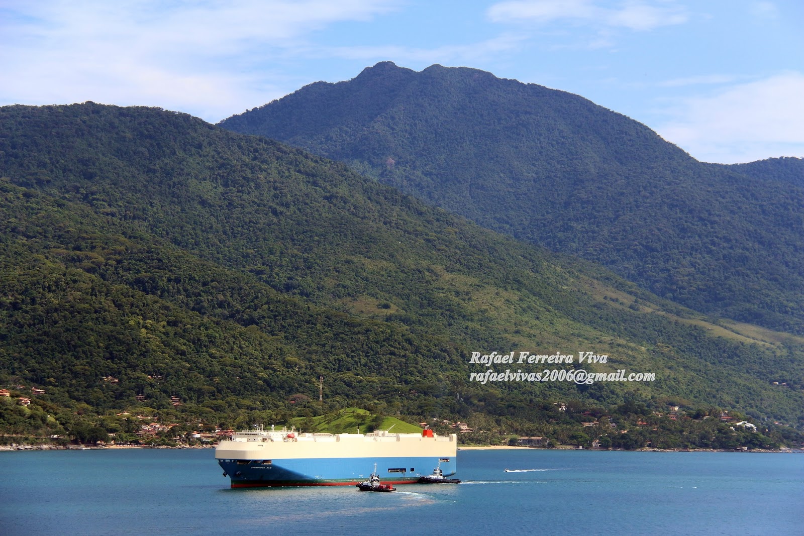 Navios em Santos: Primrose Ace