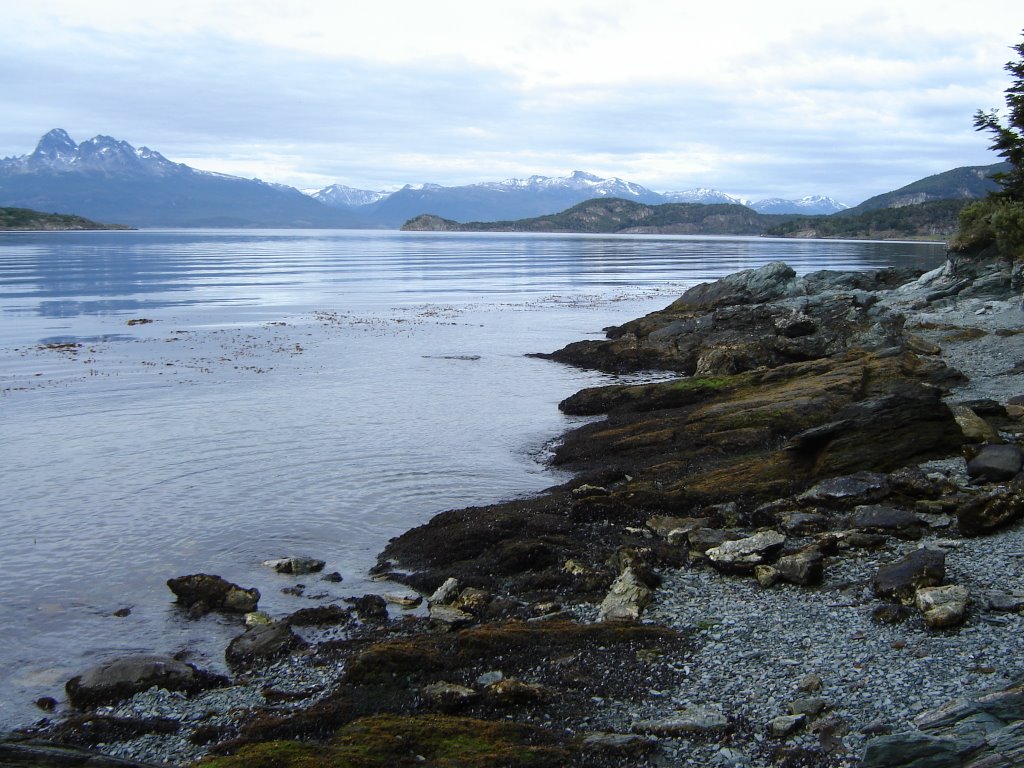 TRANSEÚNTE EN POS DEL NORTE: Charles Darwin en Patagonia y la Tierra ... TRANSEÚNTE EN POS DEL NORTE: Charles Darwin en Patagonia y la Tierra ...