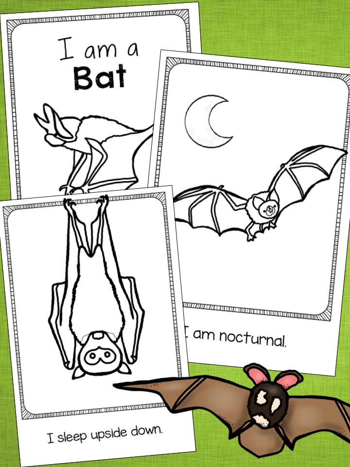 Batty Batty Bat Bat | The Barefoot Teacher