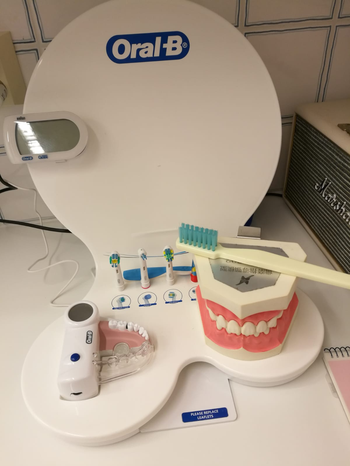 Tulevaisuuden hammashoitaja: 2019