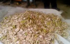 Cara Membuat Pakan Ternak Fermentasi - Kelinci