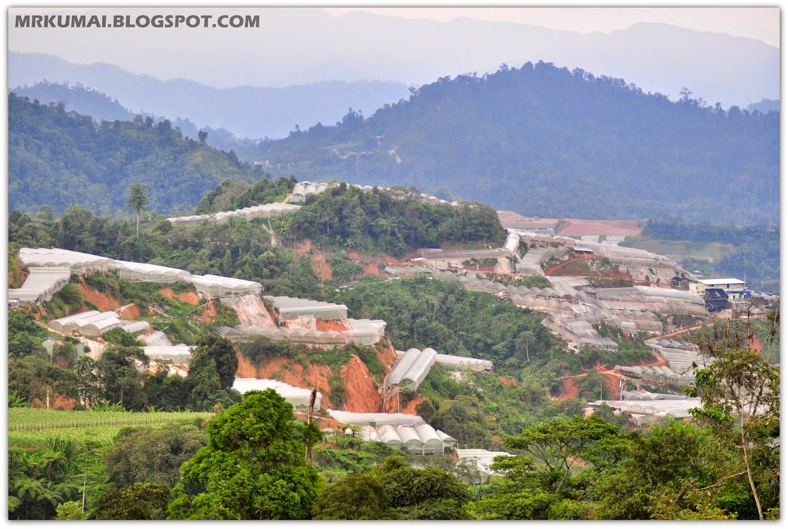 mrkumai.blogspot.com: Pemandangan Kebun-kebun sayur @ Daerah Kecil Lojing