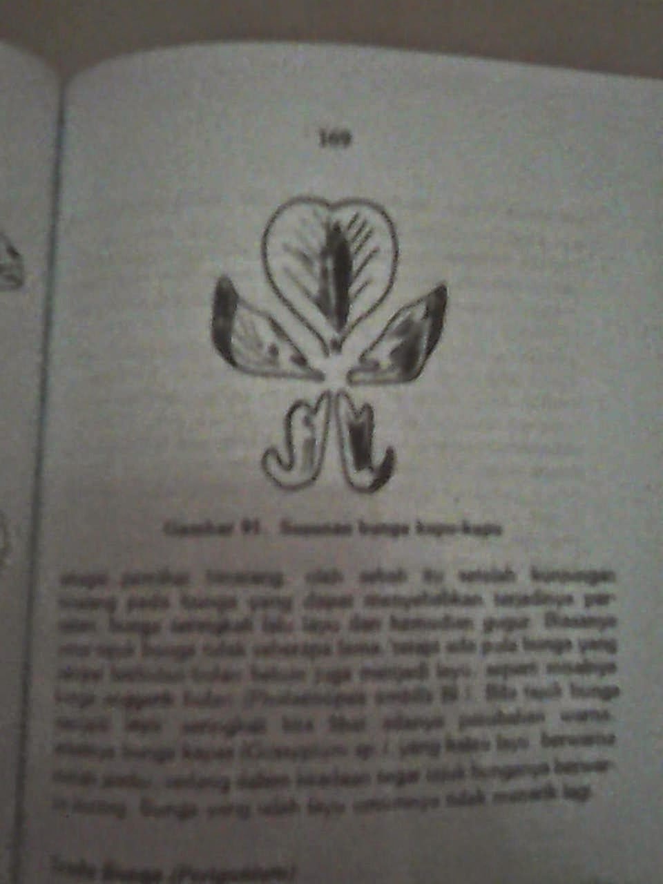 Morfologi Tumbuhan: BAGIAN-BAGIAN BUNGA