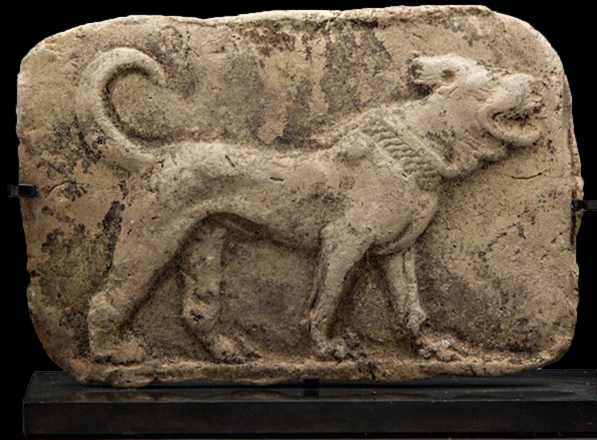 Savaşlarda kullanılan Köpekler