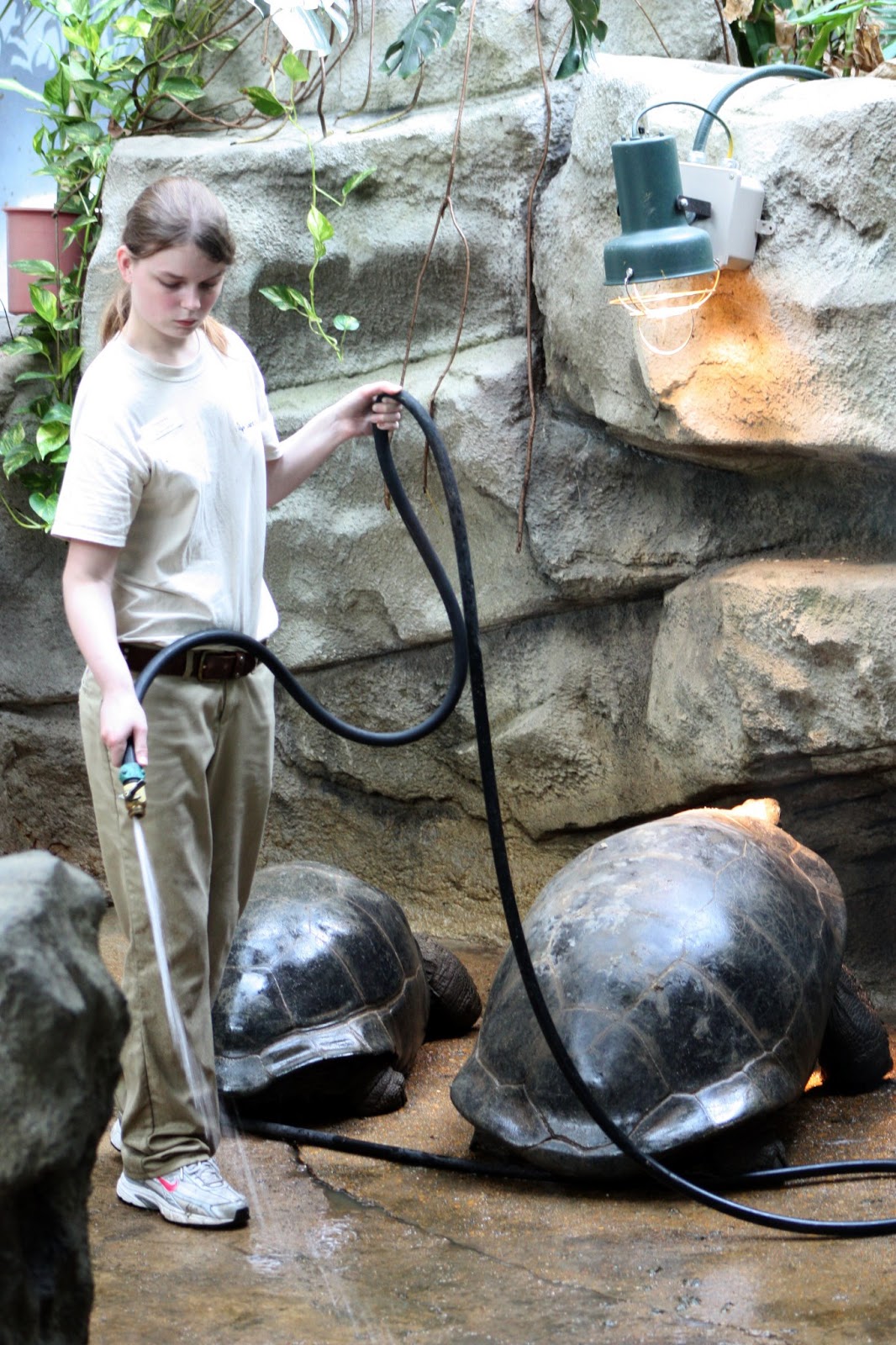 All About Us: St. Louis Zoo