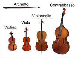 GLI STRUMENTI A CORDA