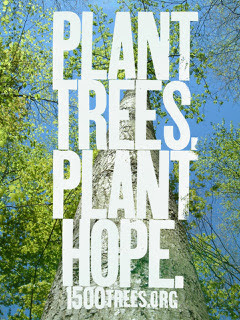 Presbyterians for Earth Care: Planting Trees, Planting Hope