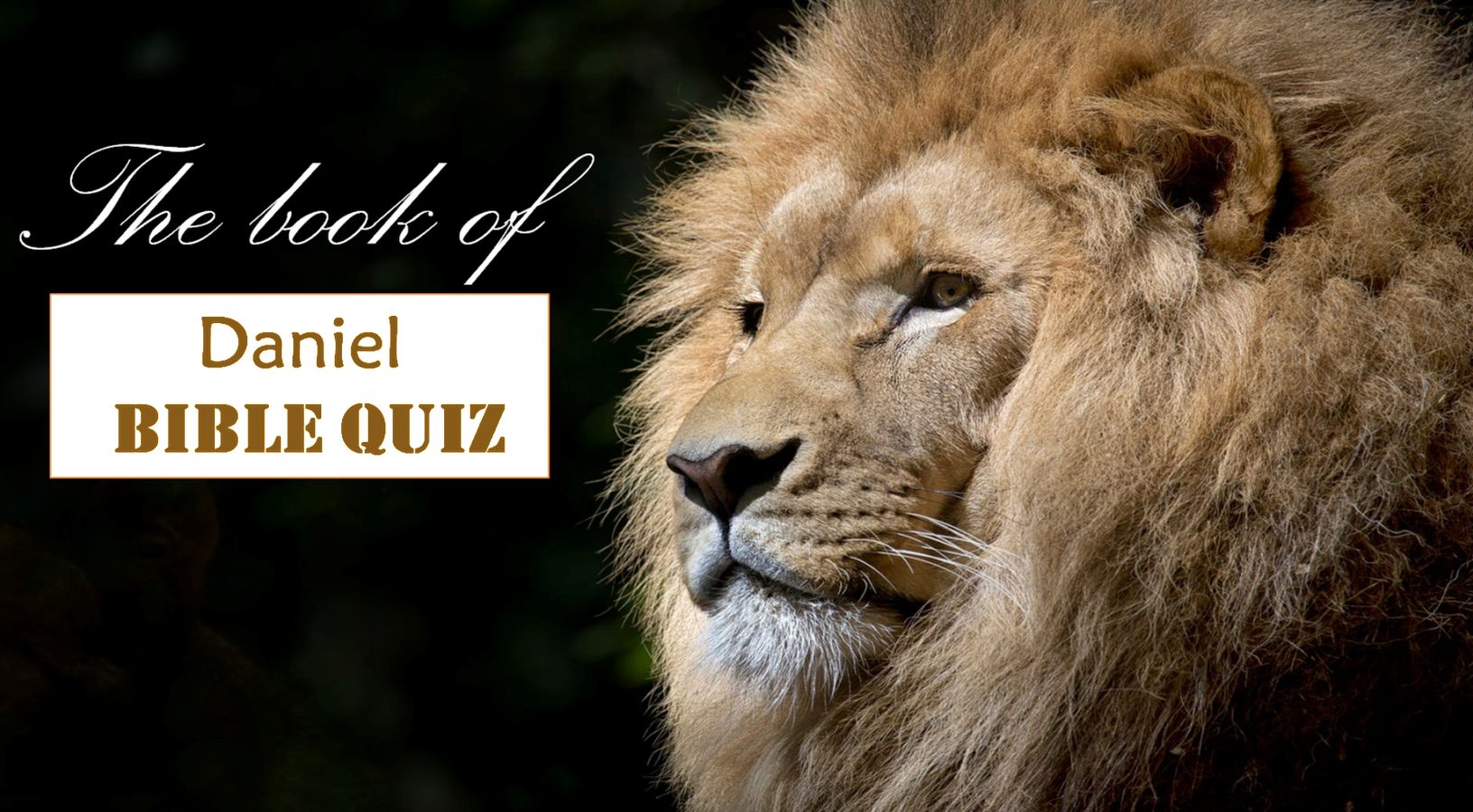 Book of Daniel - BIBLE QUIZ