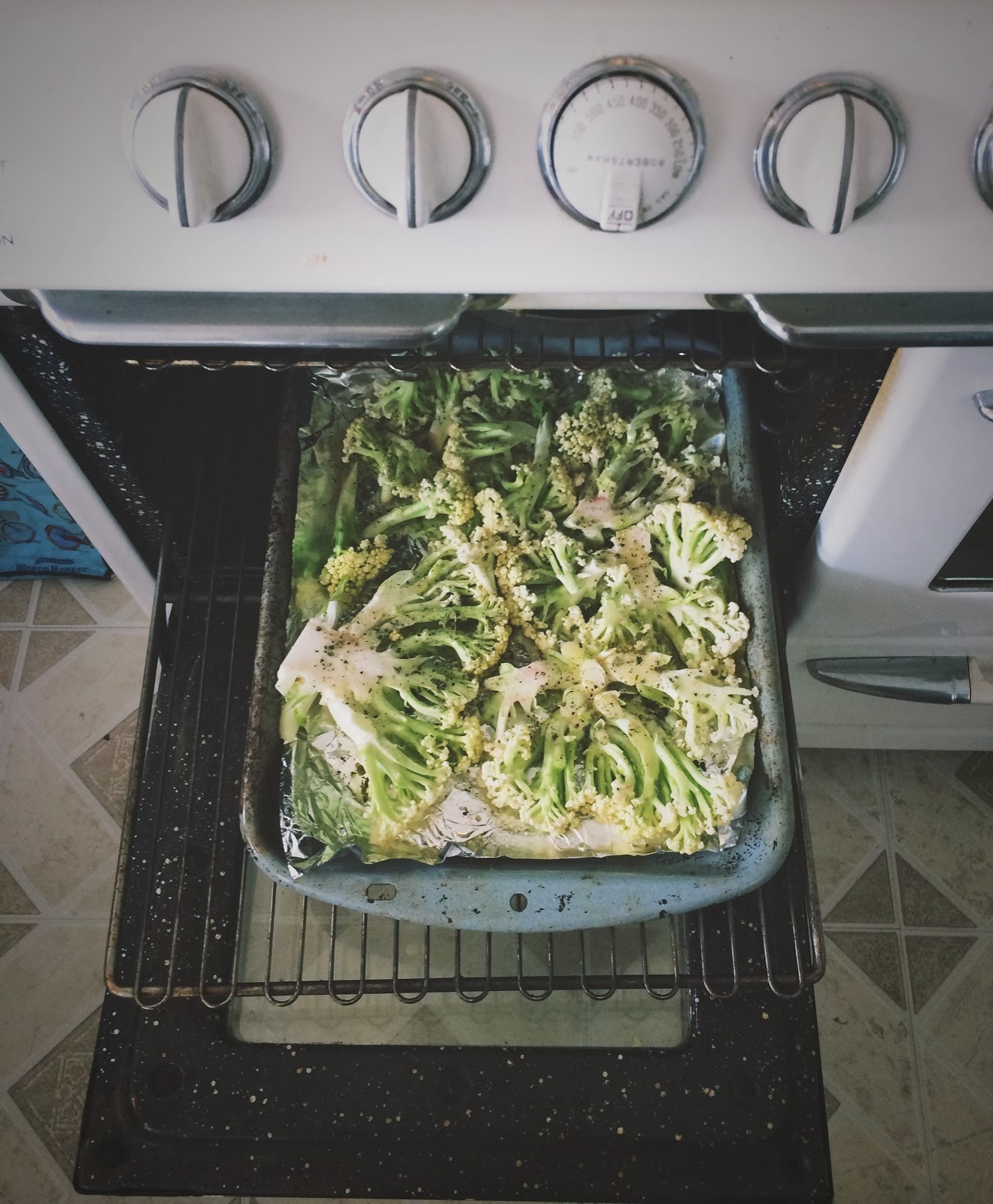 40 days fresh: Day #3 day off with an impromptu picnic dazzling delight