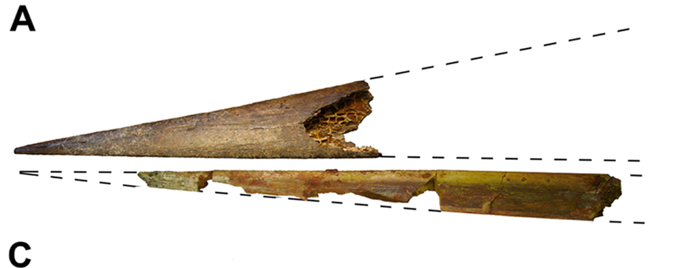 Prehistoric Beast of the Week: Alanqa: Beast of the Week