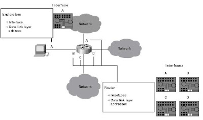 Networking: *Data Link Layer Addresses