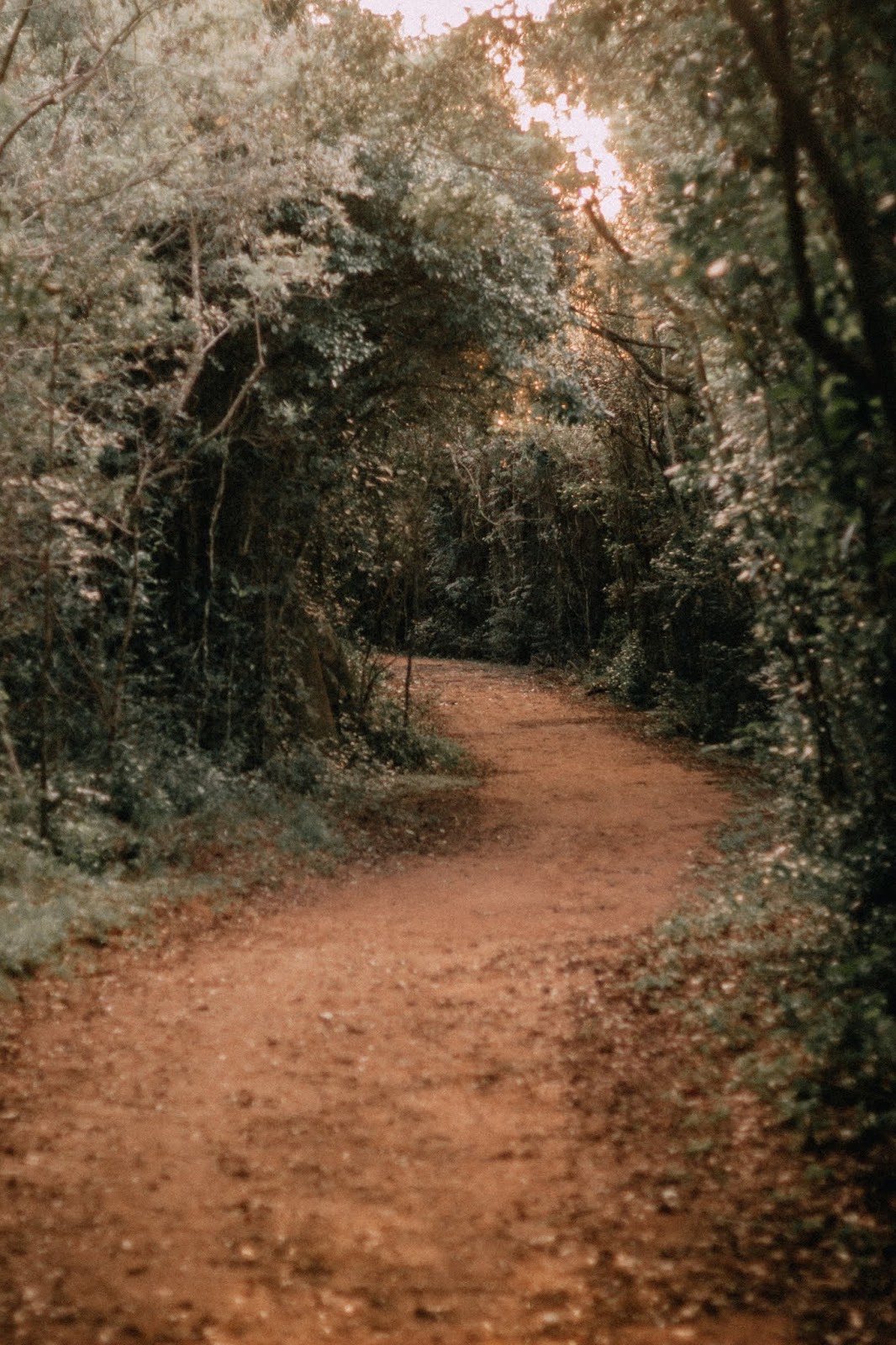 BEDA #6 - Morro do osso: Trilha ecológica em Porto Alegre | Mad Souls
