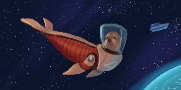 NASA and the US Air Force explore possibilities of using SpaceX’s ...