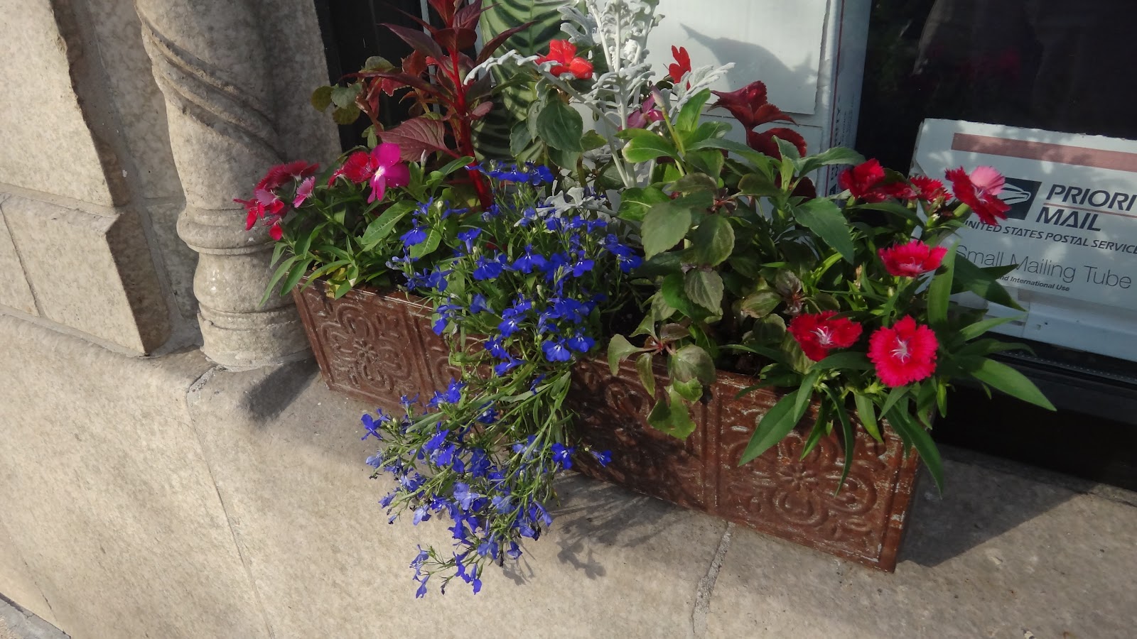 Rogers Park Chamber of Commerce: Tu-Bloom at Quest Network Services