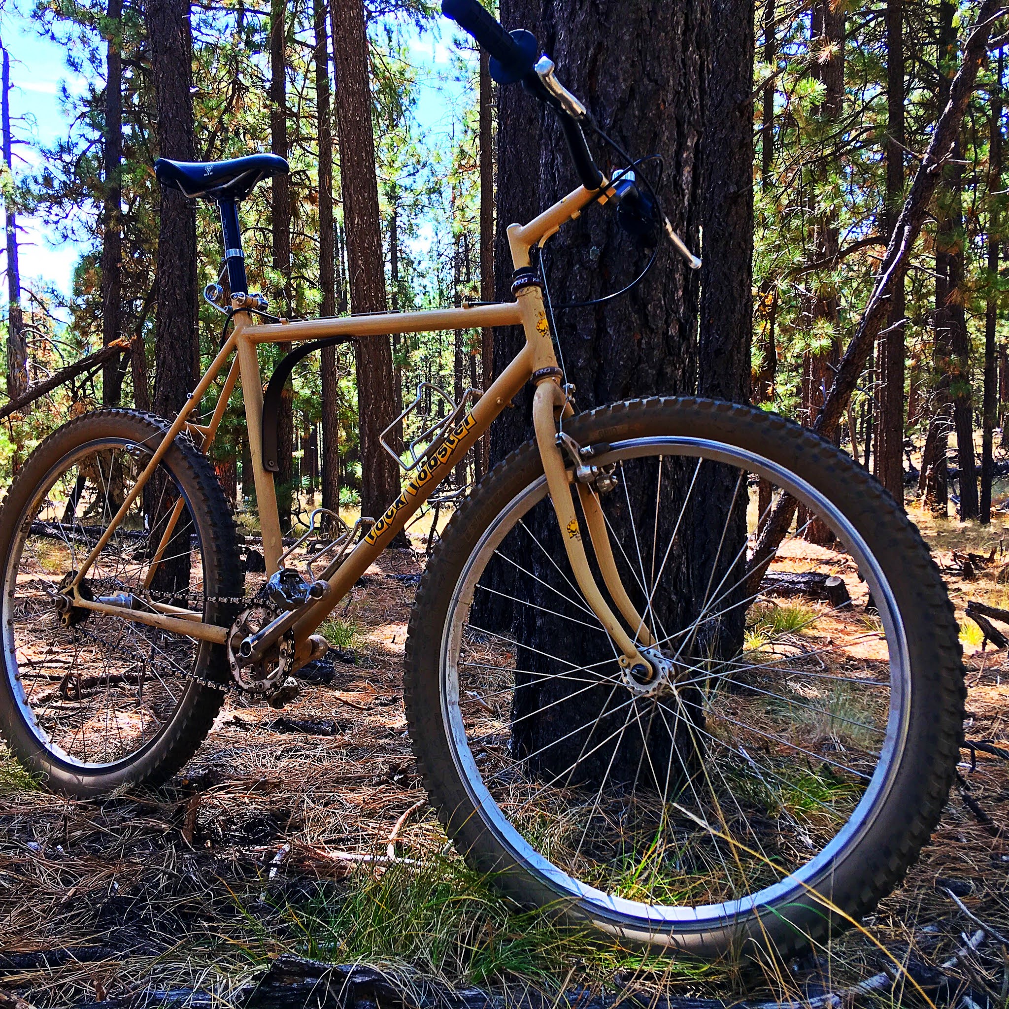 RockyChrysler.com: Just about a bike: Rock Lobster Singlespeed [UPDATED]