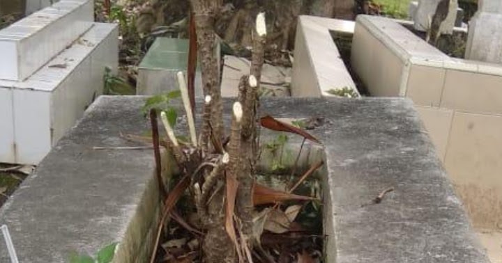 Waduh... Ada Bong Sabu di Areal Kuburan - DikoNews7