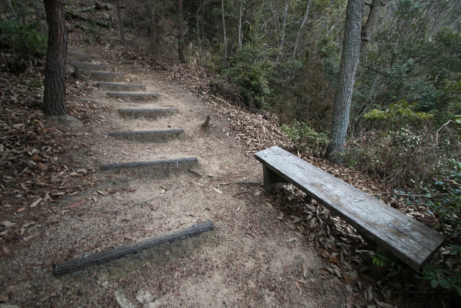 Niitakayama Castle -Intellectual pillar of Mouri clan (2)- | Japan ...