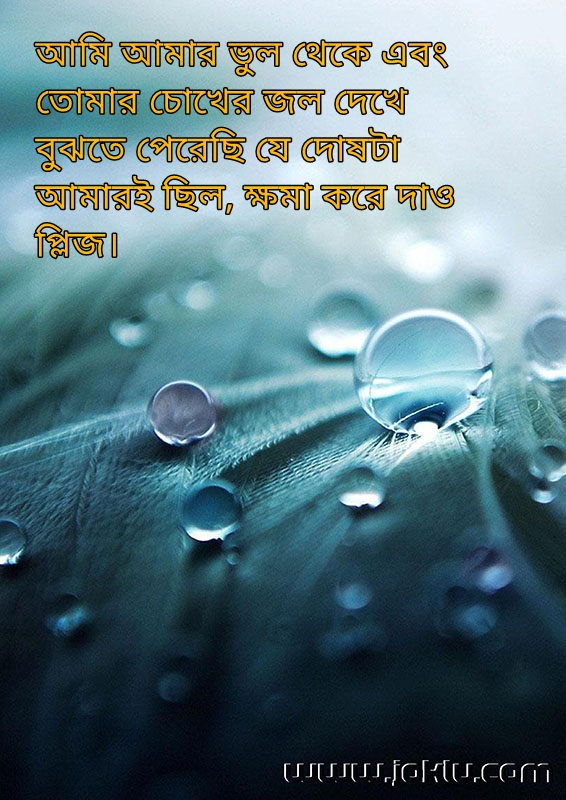 I Am Sorry Messages In Bengali i-am-sorry-messages-in-bengali