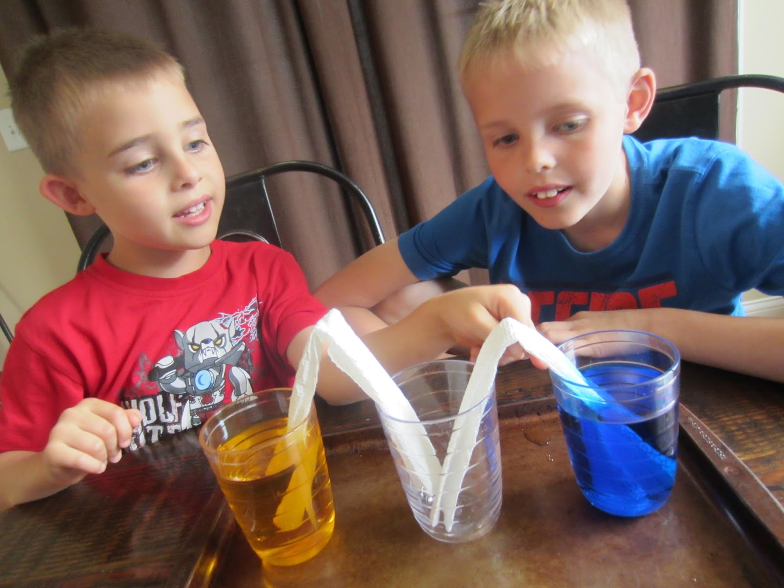 Relentlessly Fun, Deceptively Educational: Walking Water (a Science and ...