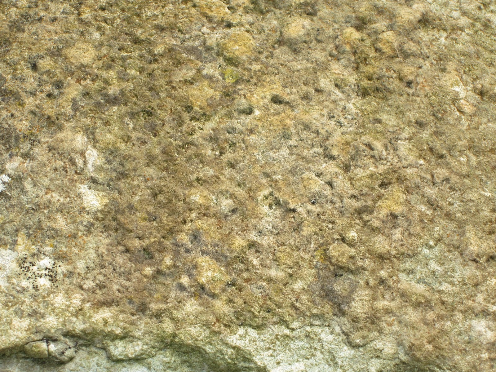 Stonehenge and the Ice Age: A veritable cornucopia of spotted dolerites