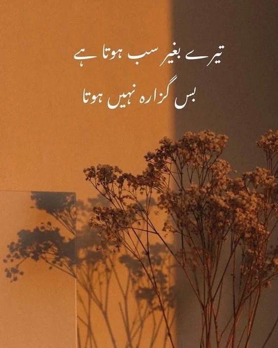 150 Best Sad Poetry in Urdu 2 Lines | Sad Shayari in Urdu 2 Lines Images