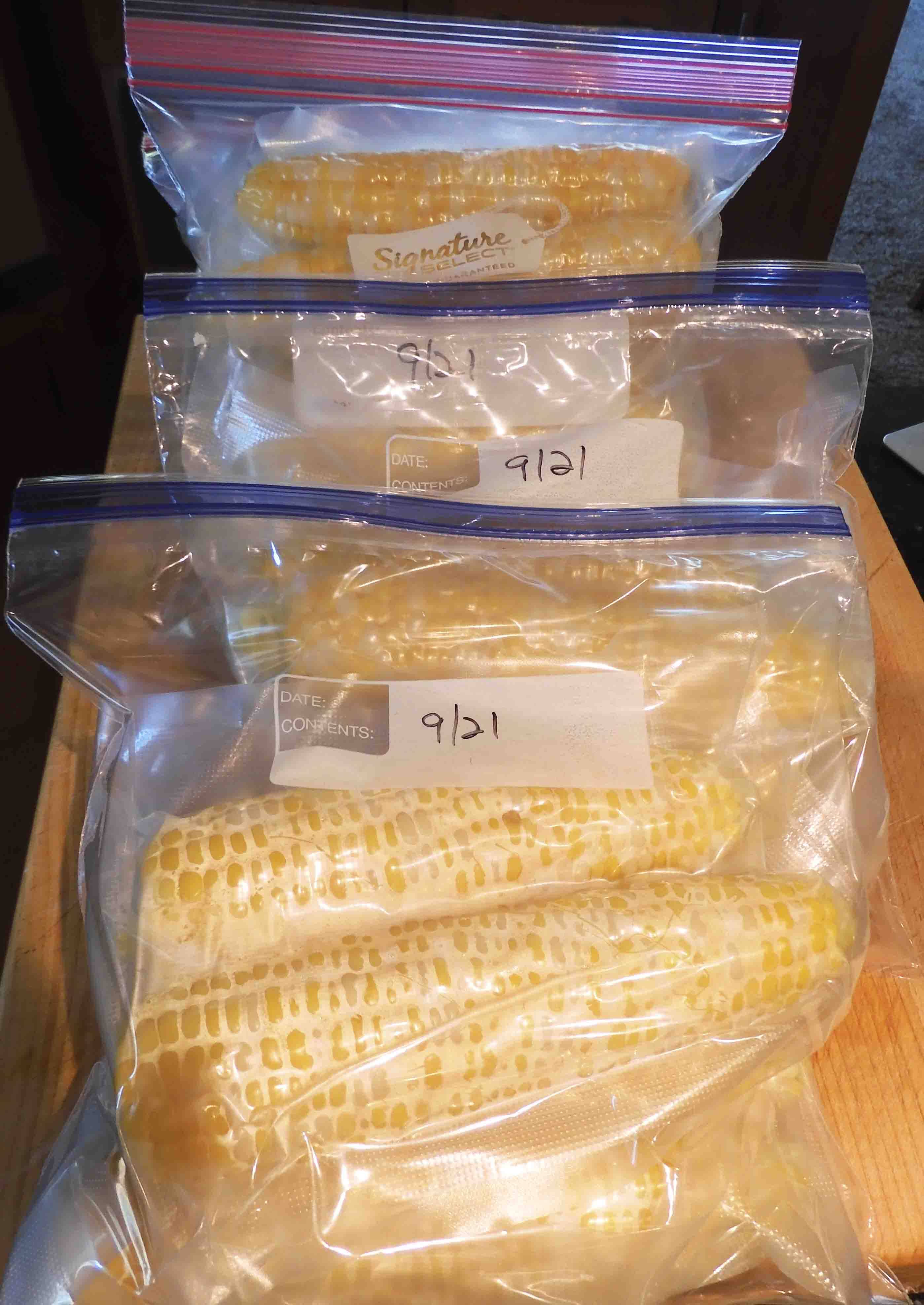 Cat Patches: Cornucopia