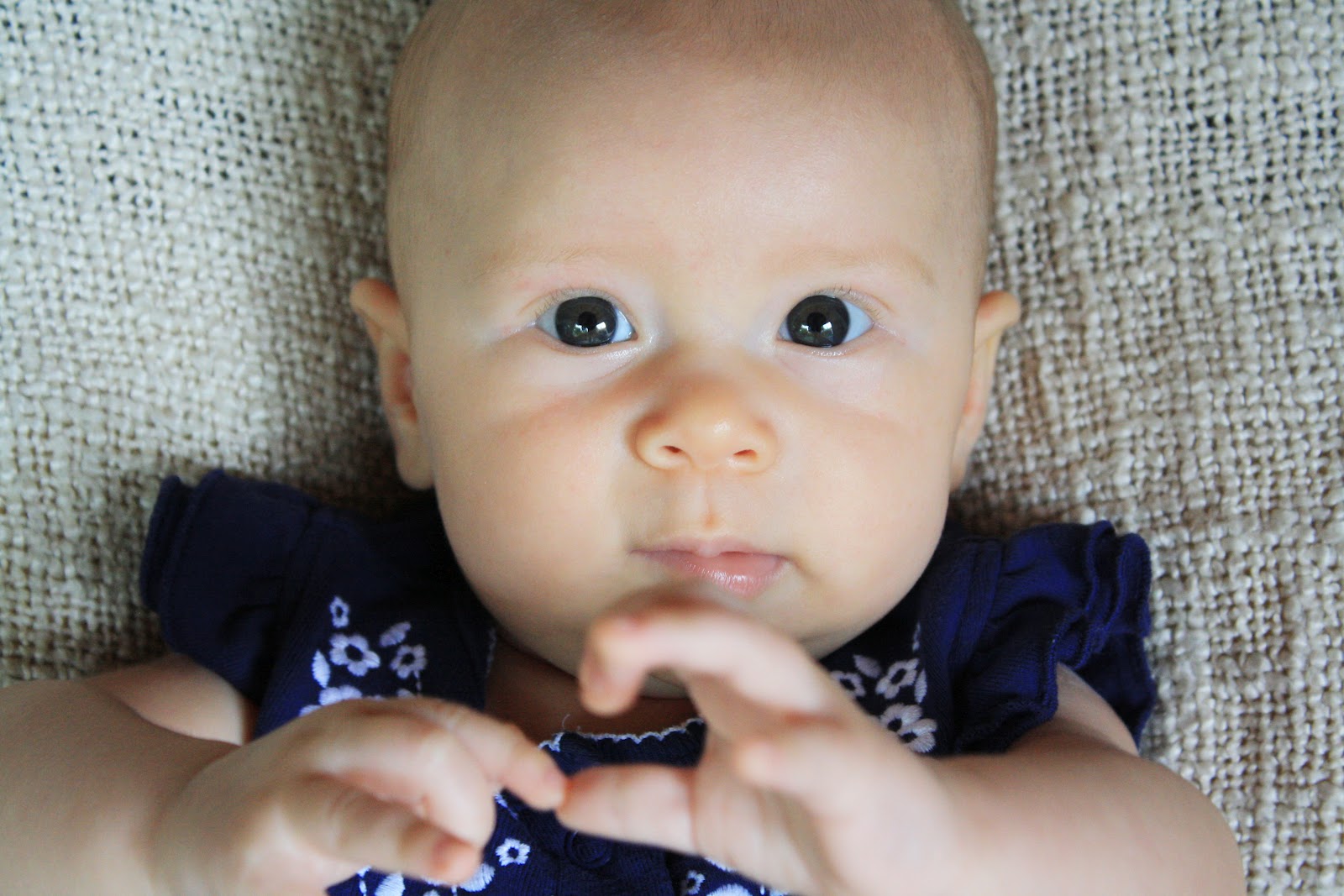 Lola s Child Three Months Of Emerson lola-s-child-three-months-of-emerson