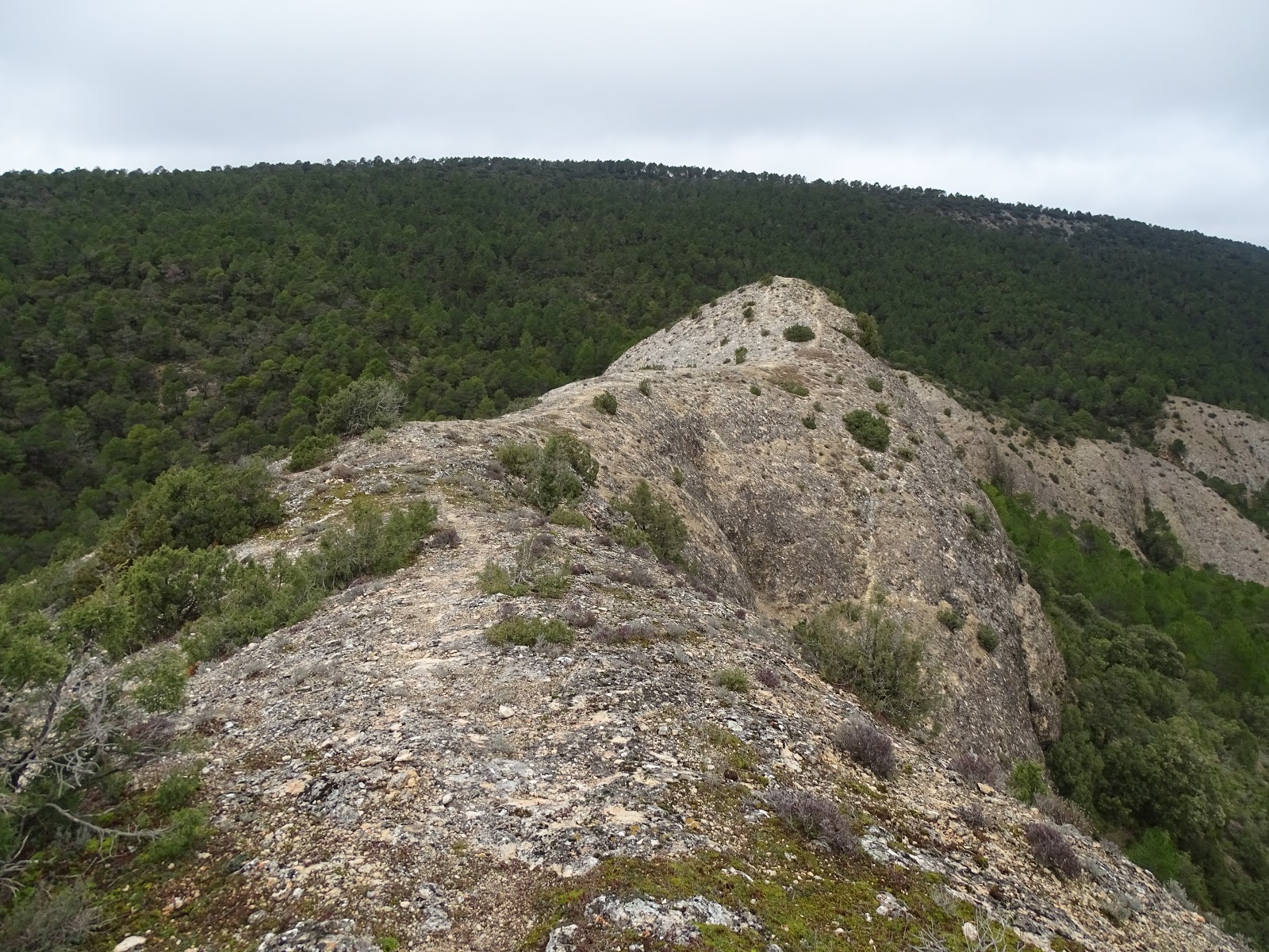 LA SIERRA DE LA BIENVENIDA EN ALCANTUD Y EL RECUENCO
