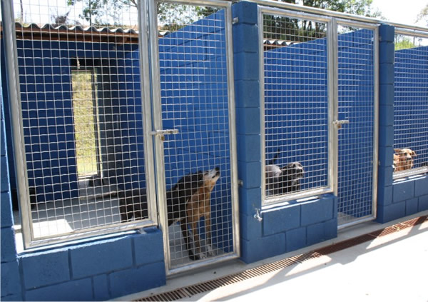 Canil para cachorro: 10 opções para lhe inspirar!