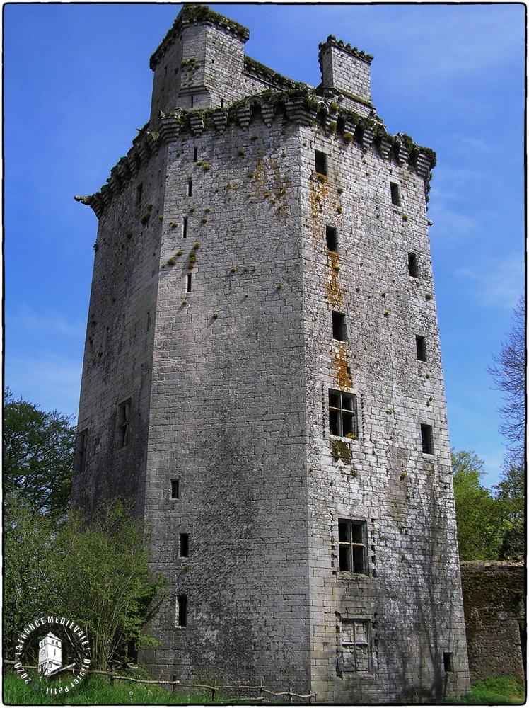 LA FRANCE MEDIEVALE: ELVEN (56) - Château-fort de Largoët : Donjon ...