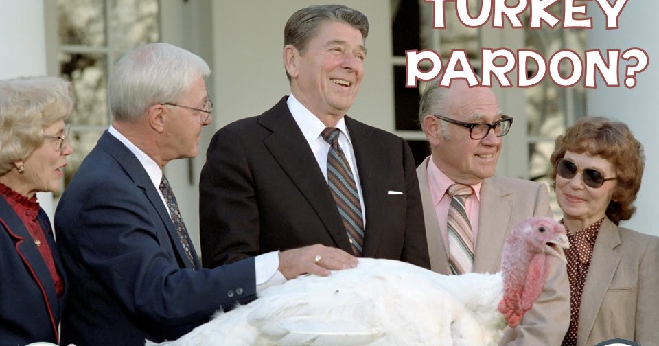 The Primary Peach: Pardon that... TURKEY?!