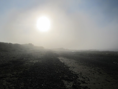 coastrider: Return of the Sea Haar