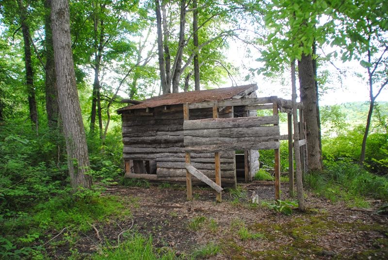 Southeastern PA Hiking: Lake Towhee County Park