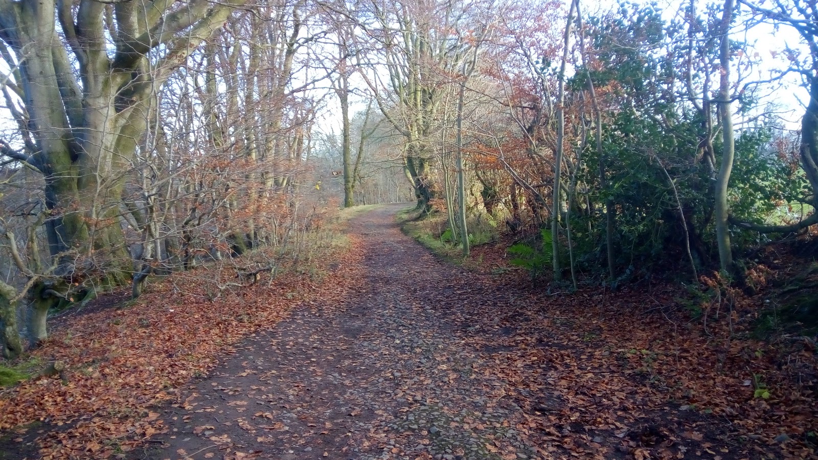 Chatelherault Country Park, Chatelherault, Hamilton