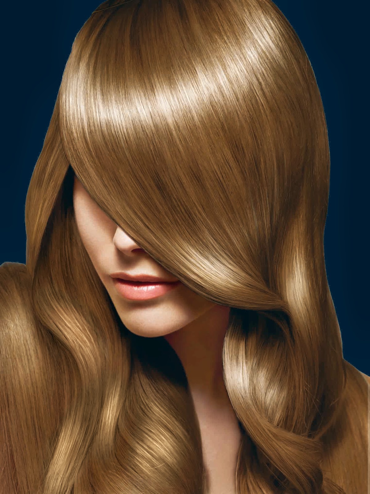 SYOSS COLOUR Invasion :Trendsetting Shades