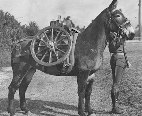 Buckaroo Leather Horse Tack, Use, Care and Maintenance: Pack Saddles ...