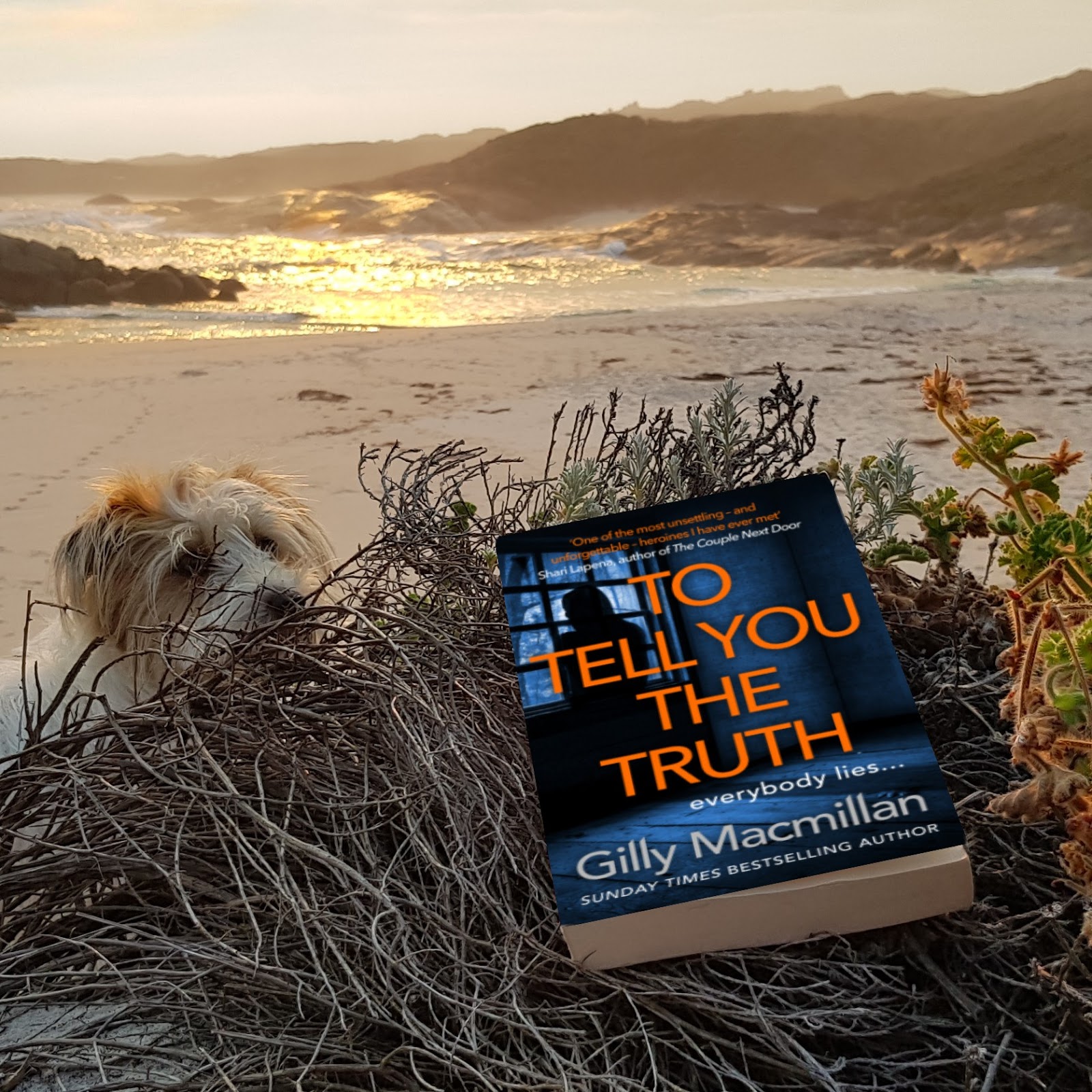 but books are better: Book Review: TO TELL YOU THE TRUTH by Gilly Macmillan
