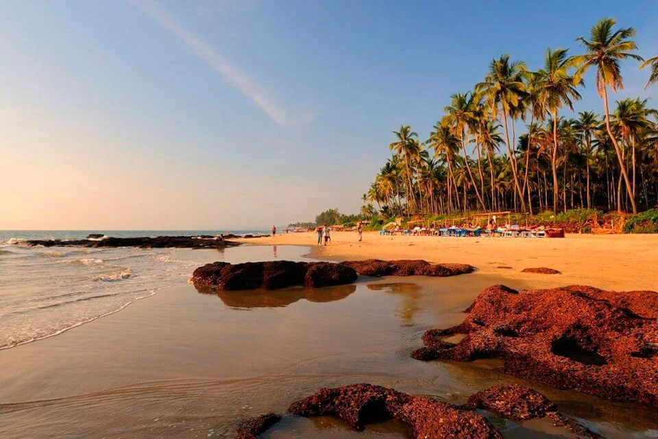 Top 16 Best Beaches in Goa, India (with Photos)
