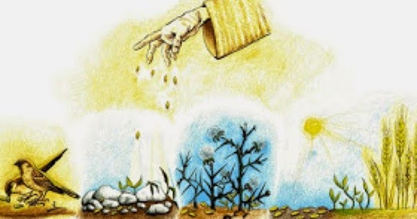 Io e un po' di briciole di Vangelo: (Mt 13,1-9) Una parte del seme ...